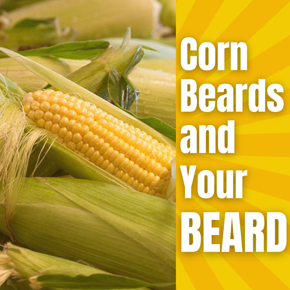 Our Favorite Bearded Singers | Smoky Mountain Beard Co.