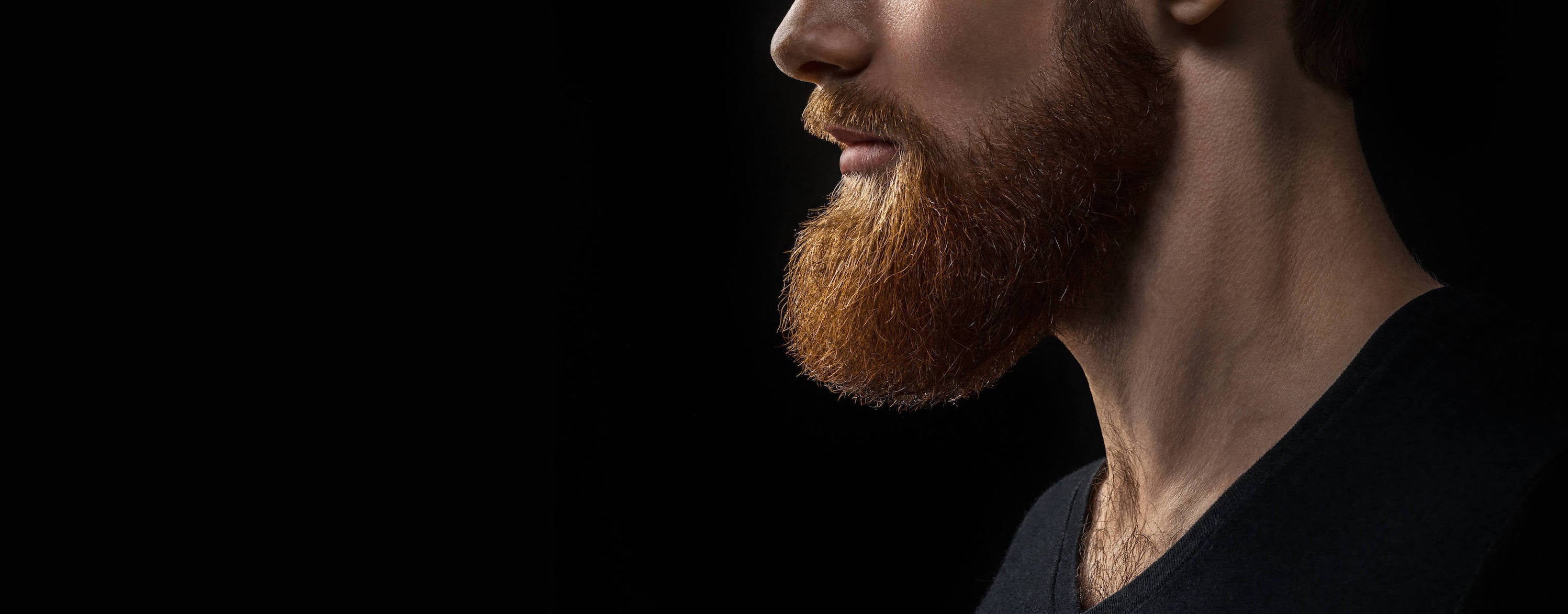 All Natural, Guaranteed Beard Care | Smoky Mountain Beard Co.